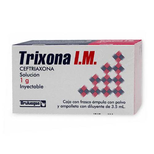 Trixona Im (Ceftriaxona) Ampolletasolletasolletasolletas 1G Con 1 ...