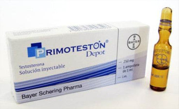 Primoteston Depot 250Mg/1Ml Con 1 Ampulas (Testosterona) — WeCare Pharma