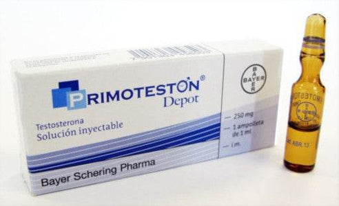 Primoteston Depot 250Mg/1Ml Con 1 Ampulas (Testosterona) — WeCare Pharma